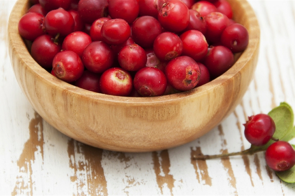 Arándanos Rojos - El Gourmet